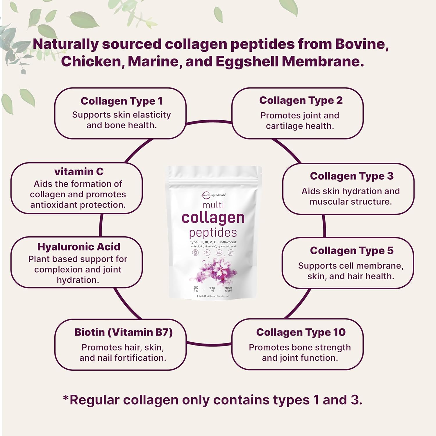 Multi Collagen Protein Powder | 5 Types + Biotin & Vitamin C | 2 lbs ...